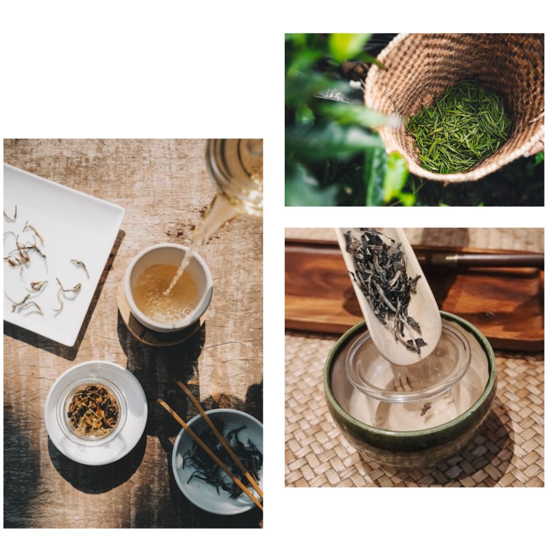 Slow Food Thai Restaurant, Organic Tea, Tea Tasting & Workshop